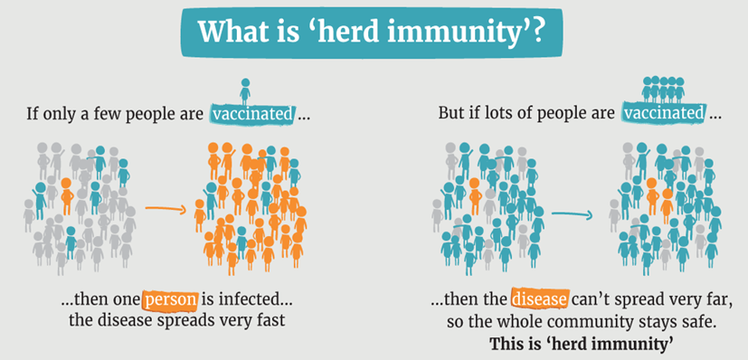 The Science Behind Vaccines And Your Immune System
